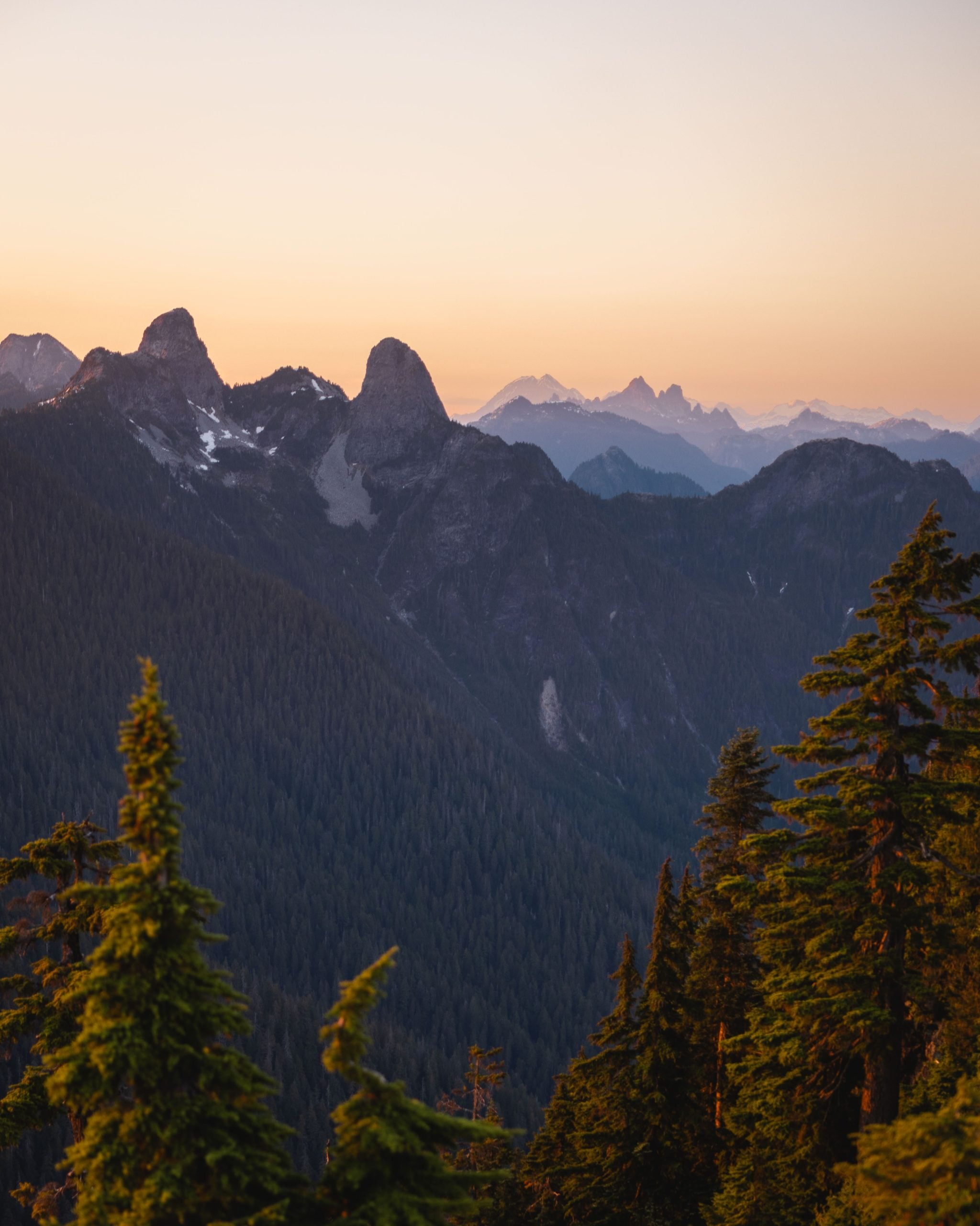 Best Hikes in Vancouver—Hiking the North Shore Mountains – Angela Liguori