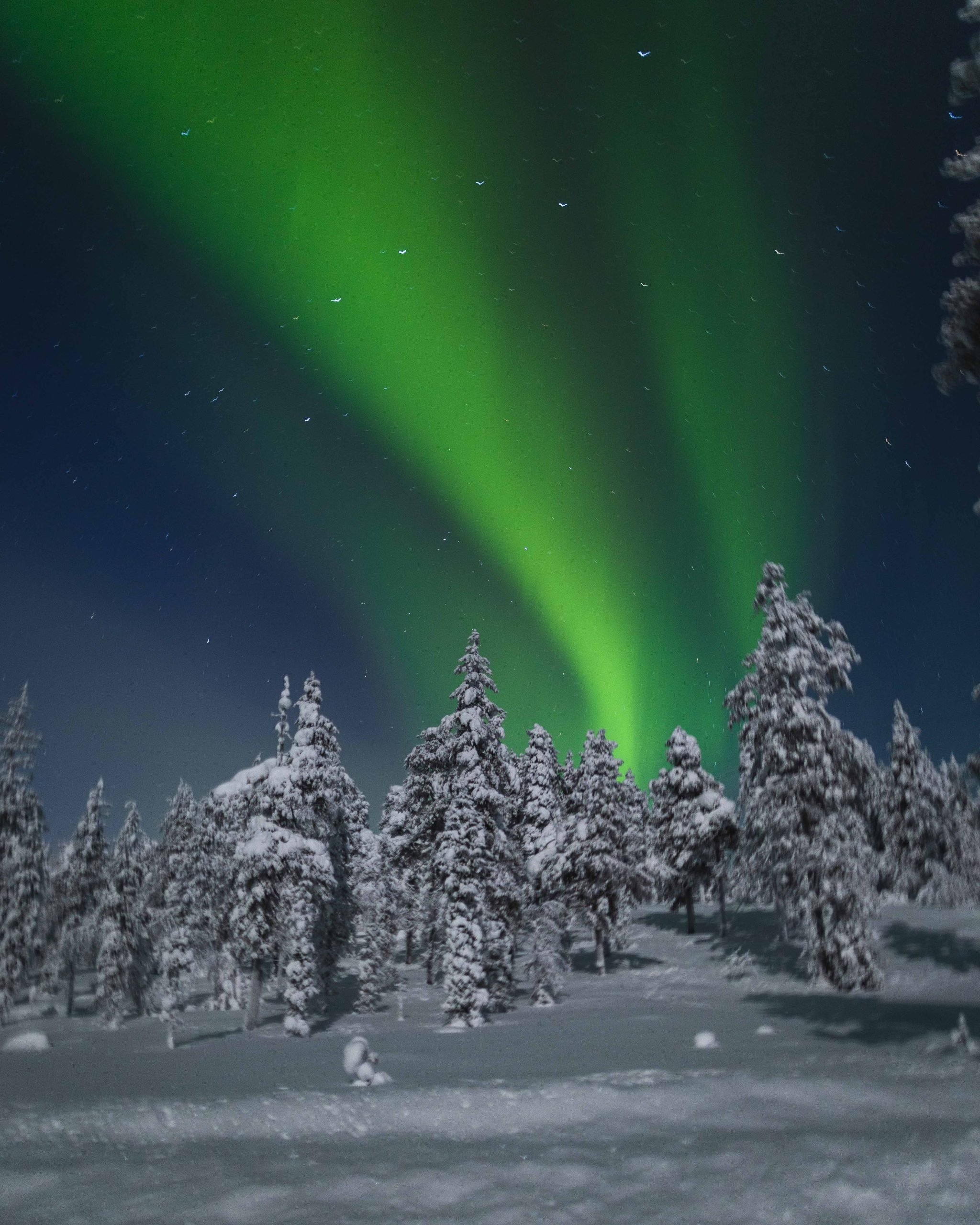The Ultimate Arctic Adventure: Plan An Epic Finnish Lapland Holiday ...