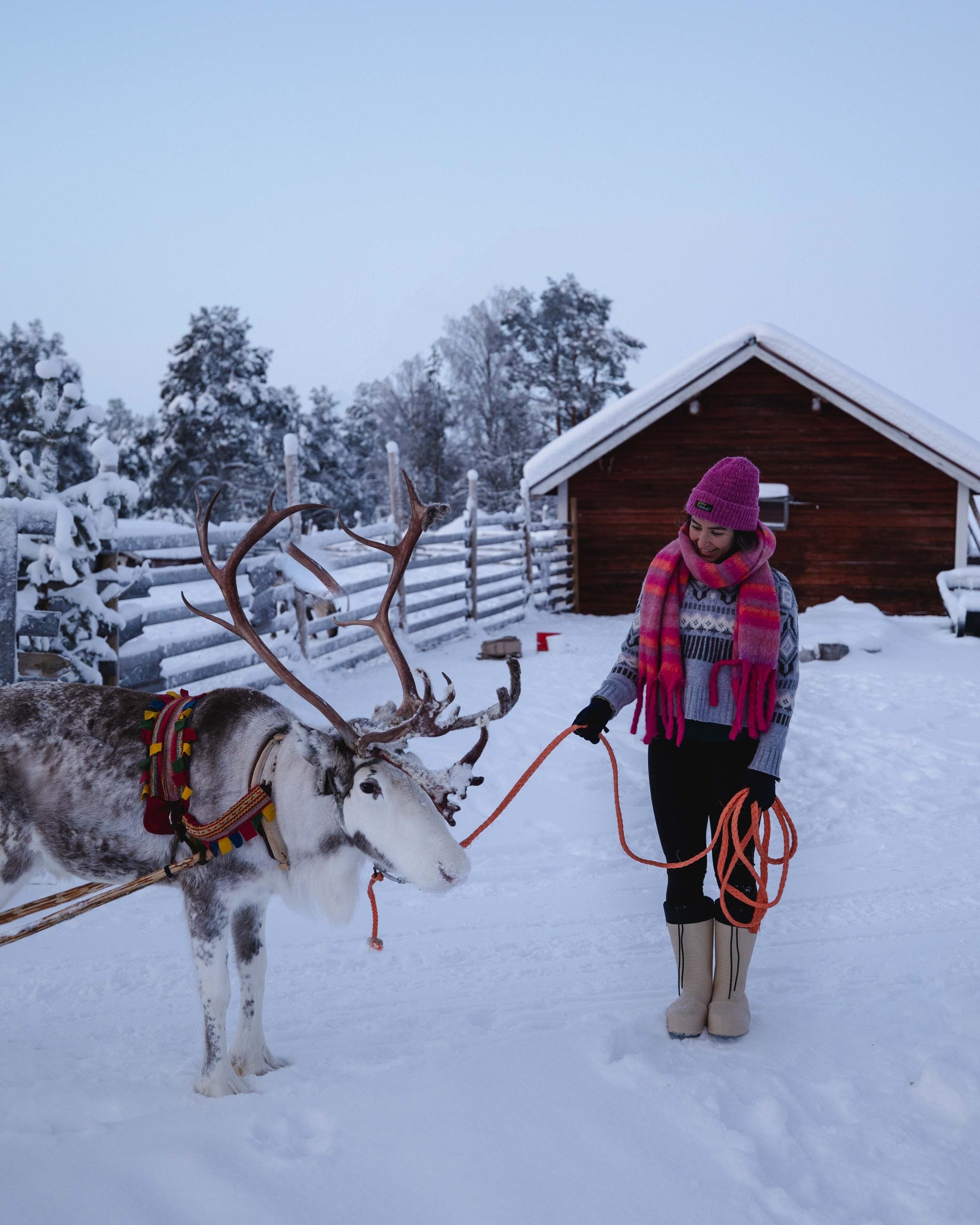 What to Wear in Lapland: A Complete Packing Guide for the Arctic ...