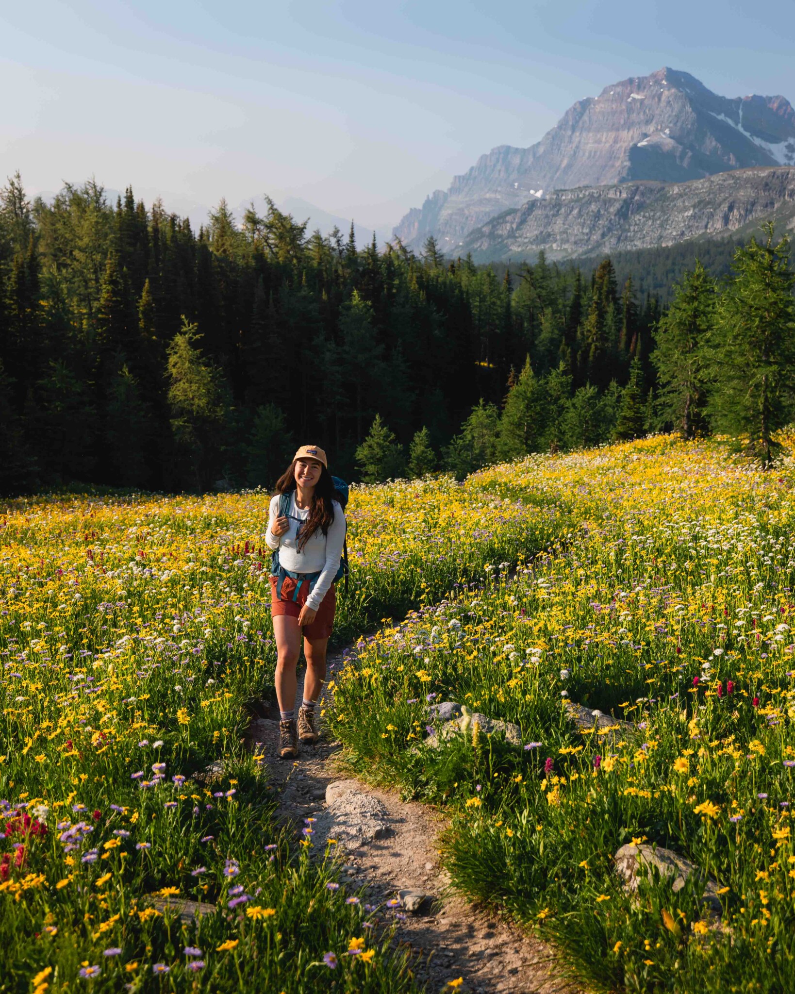 The Best Wildflower Hike in Banff: Healy Pass – Angela Liguori