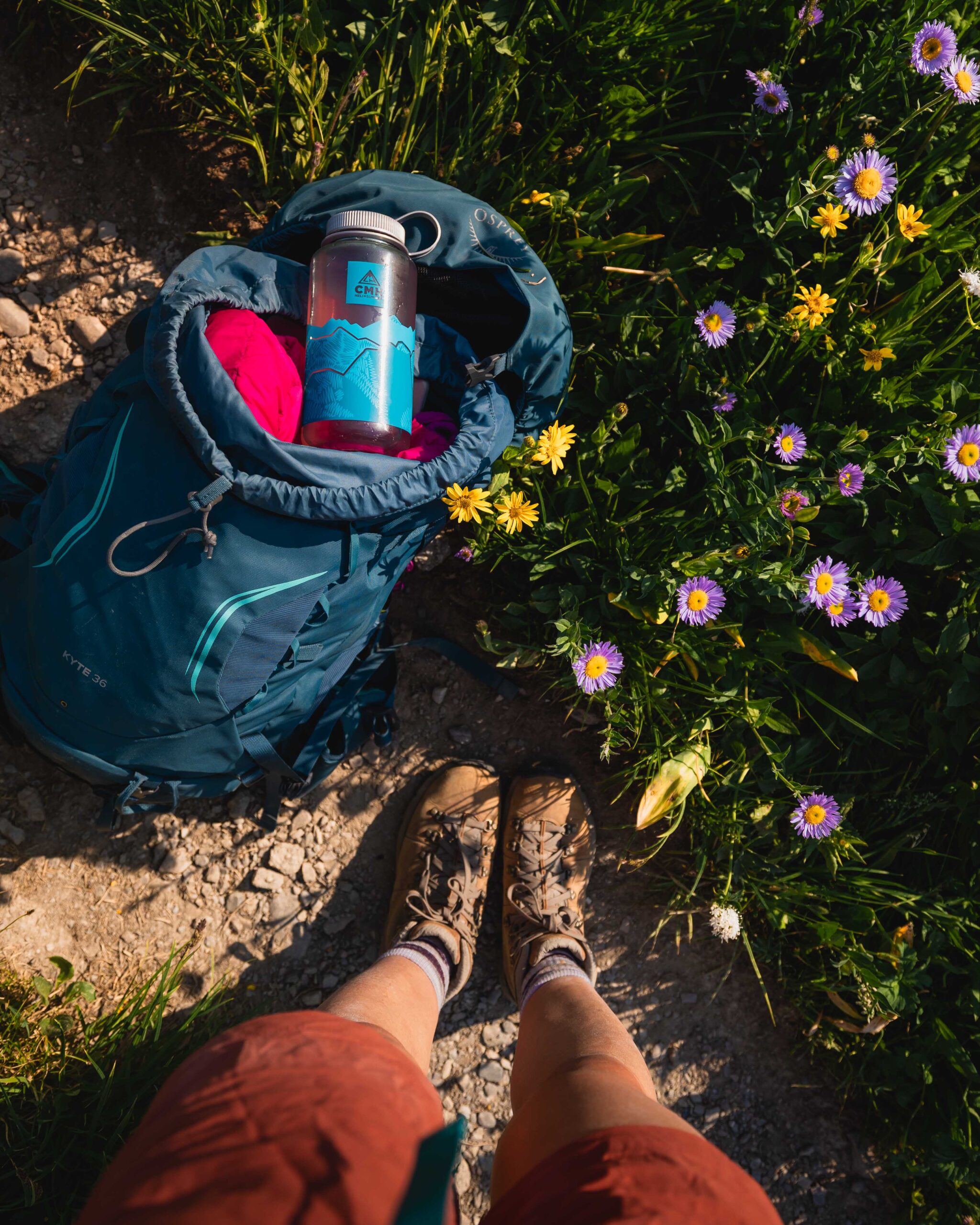 The Best Wildflower Hike in Banff: Healy Pass – Angela Liguori