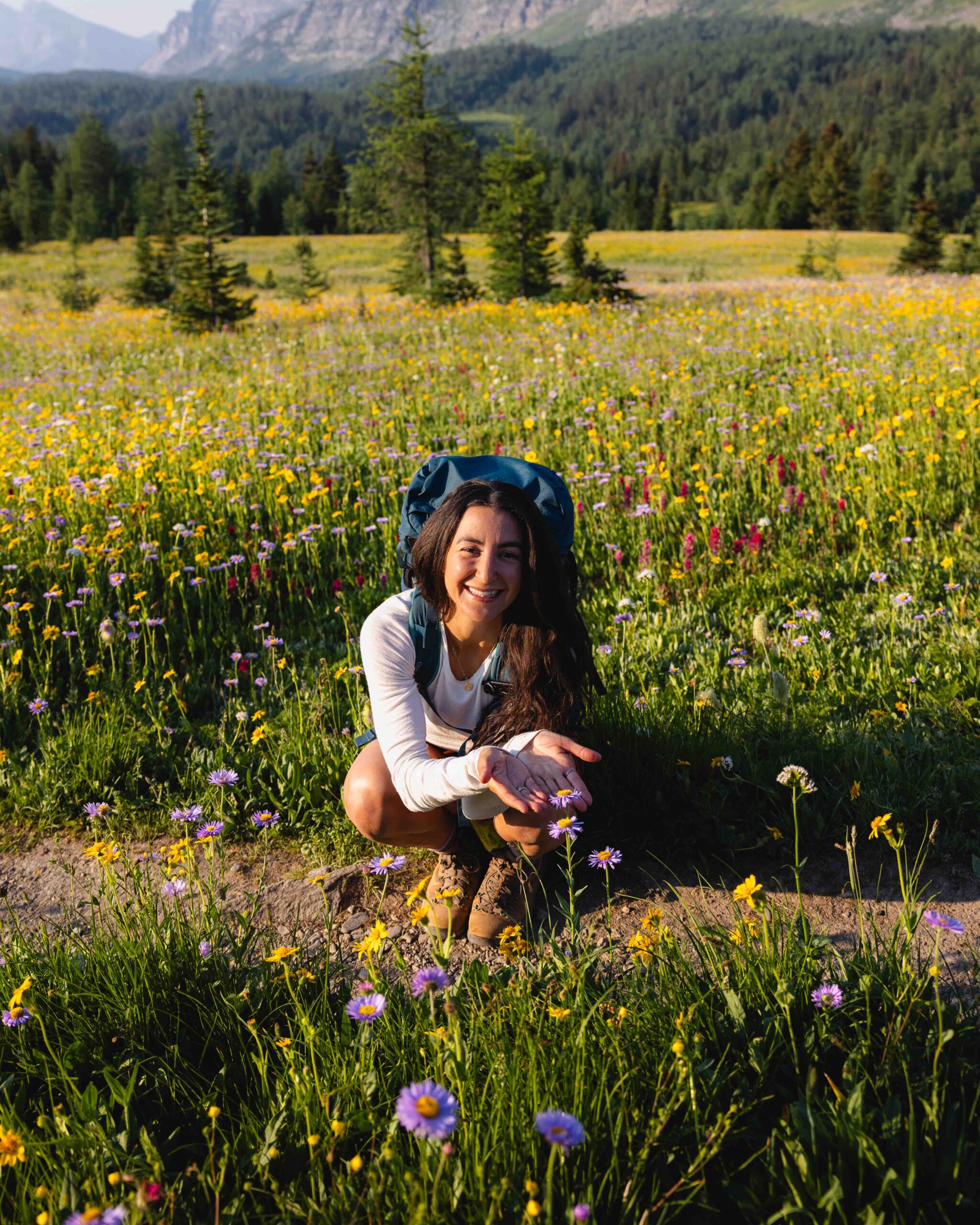 The Best Wildflower Hike in Banff: Healy Pass – Angela Liguori